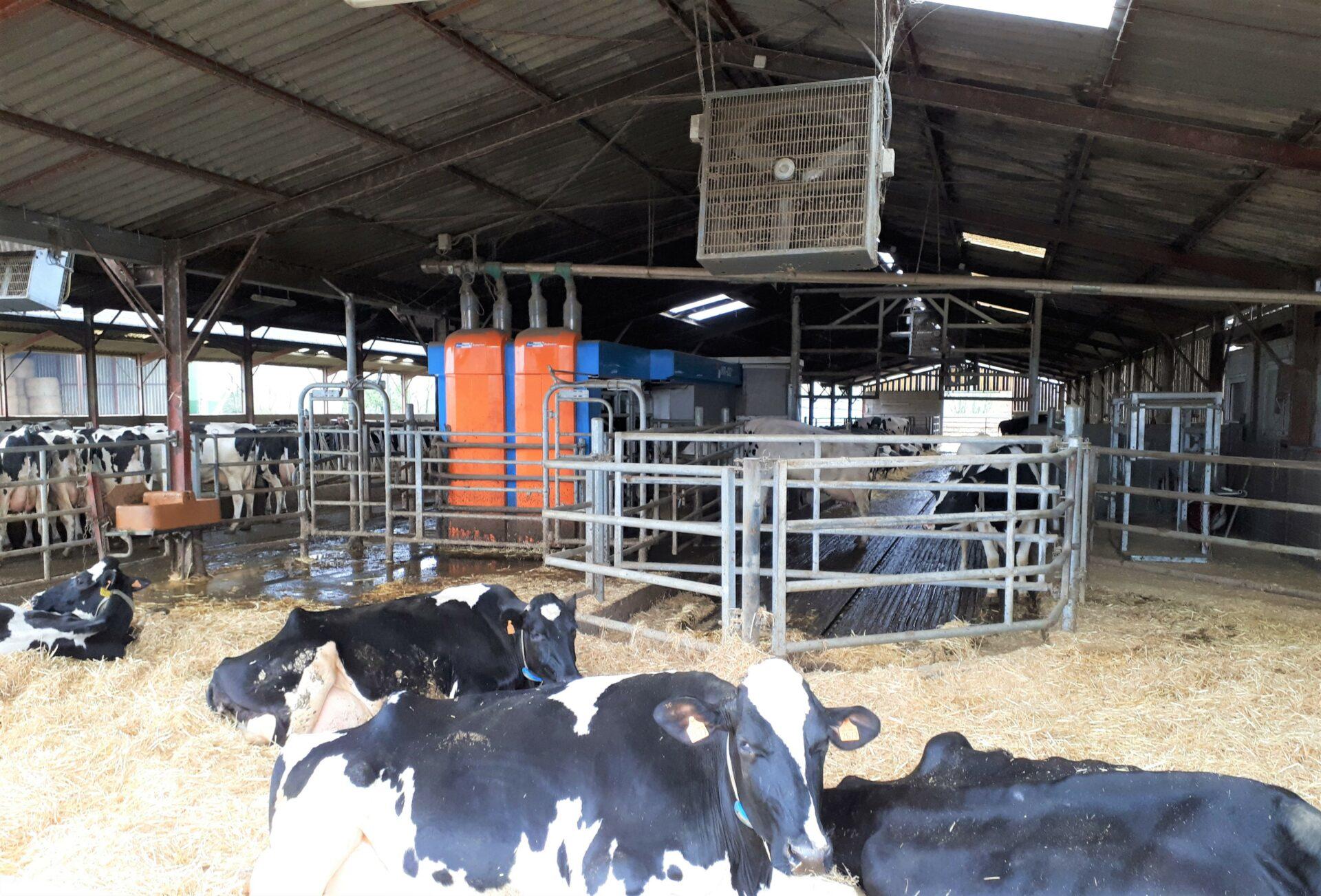 Robot de traite Gemini double box - Ets COLLON
