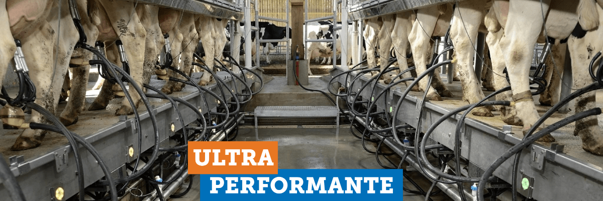 Formule 1 - Ets COLLON