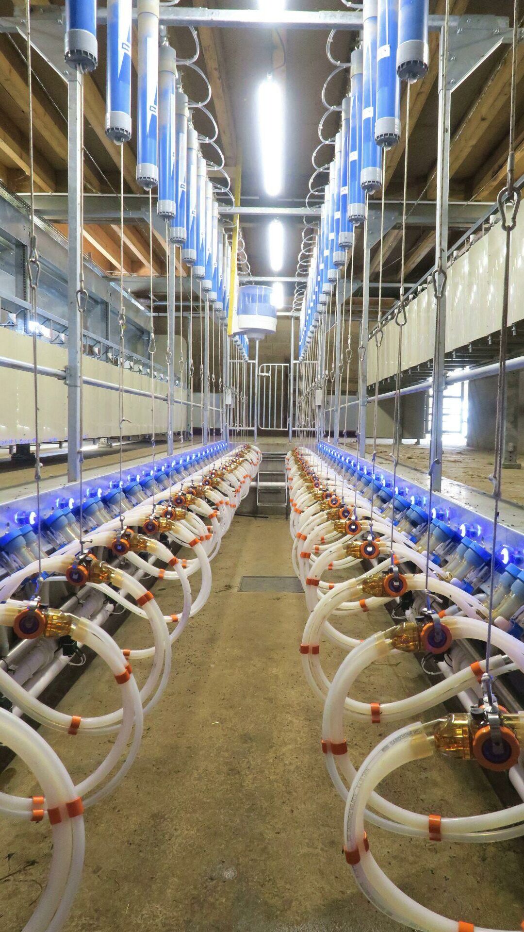 SMARTLITE™ - Ets COLLON