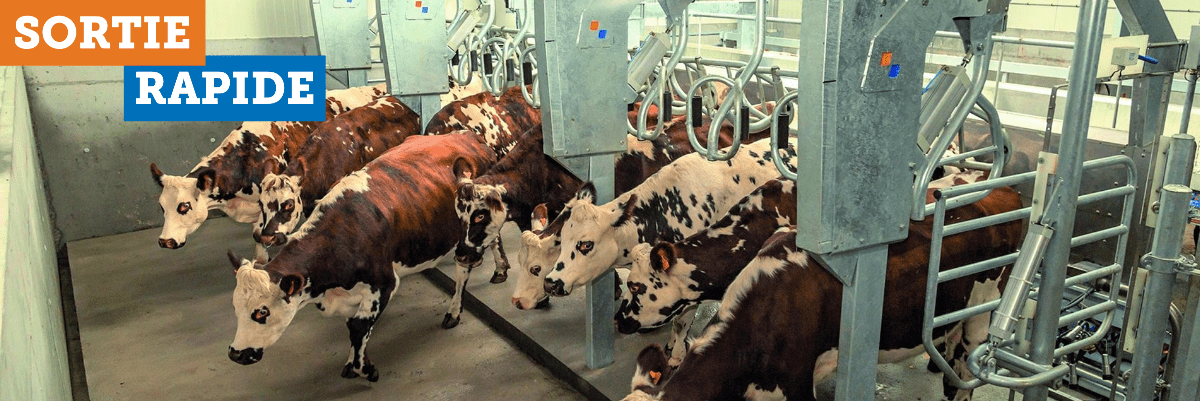 SmartWay90 - Ets COLLON