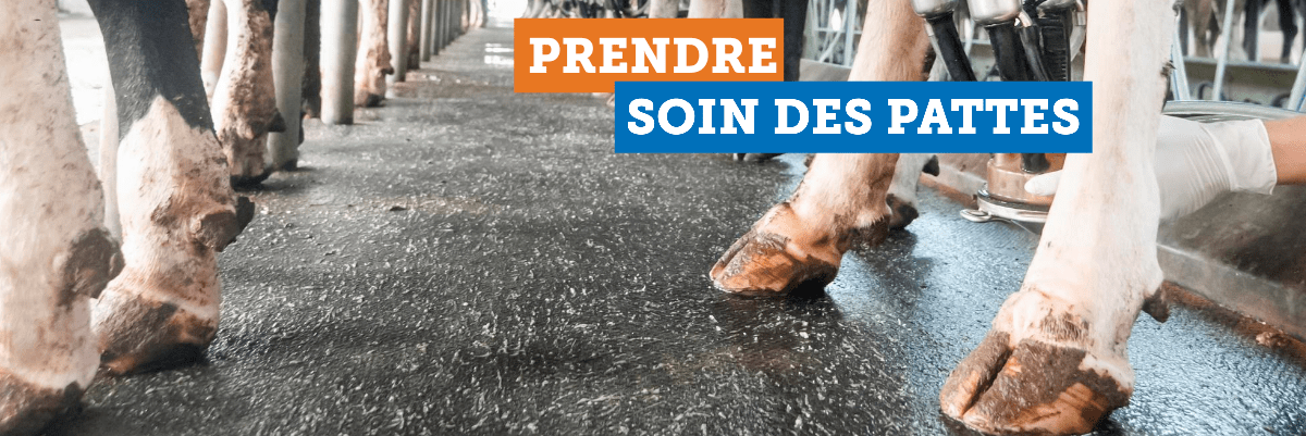 StepGuardian - Ets COLLON