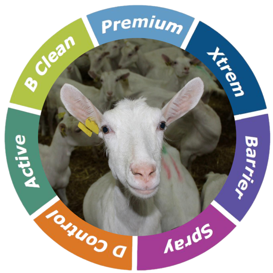 SprayMAX - Ets COLLON