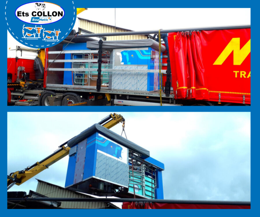 Robot de traite Gemini simple box - Ets COLLON