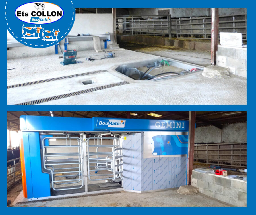 Robot de traite Gemini simple box - Ets COLLON