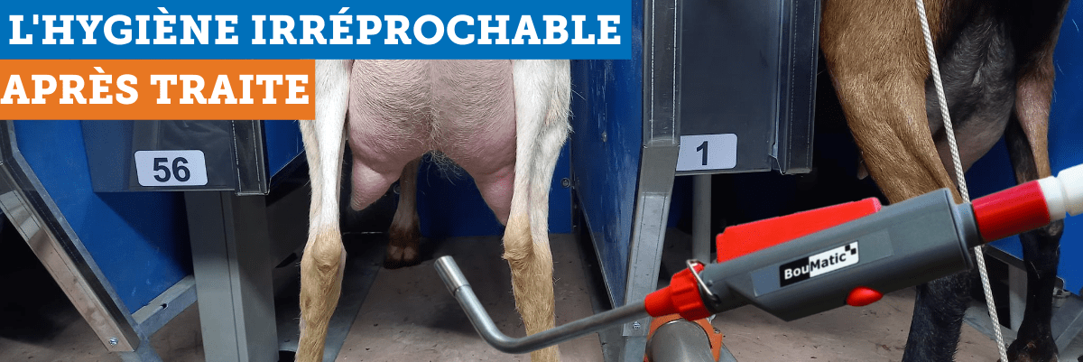 SprayMAX - Ets COLLON